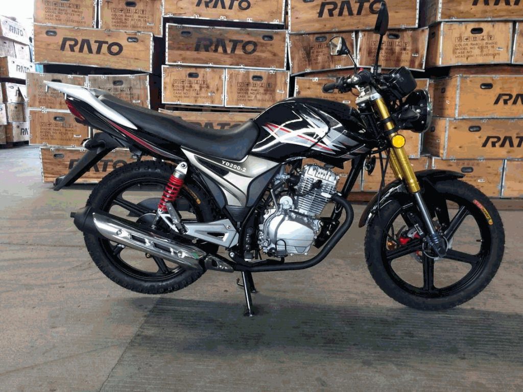 ᐉ Мотоцикл SHOGUN 200 > купите с доставкой! | Цены ниже чем в салоне!