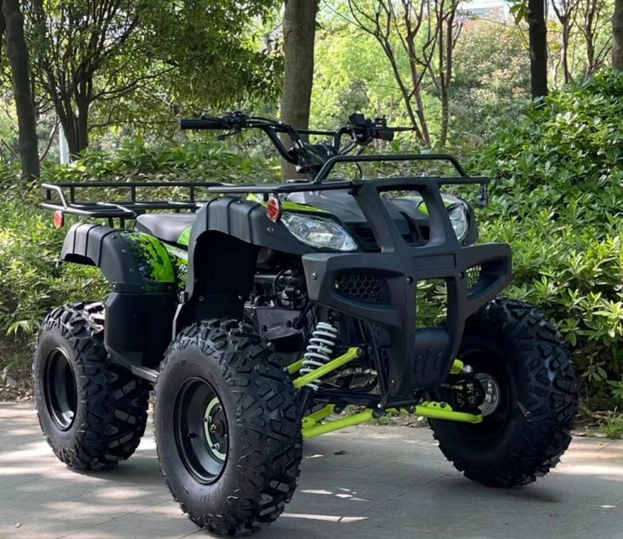 ᐉ Raptor 200 lite > купите с доставкой! | Цены ниже чем в салоне!